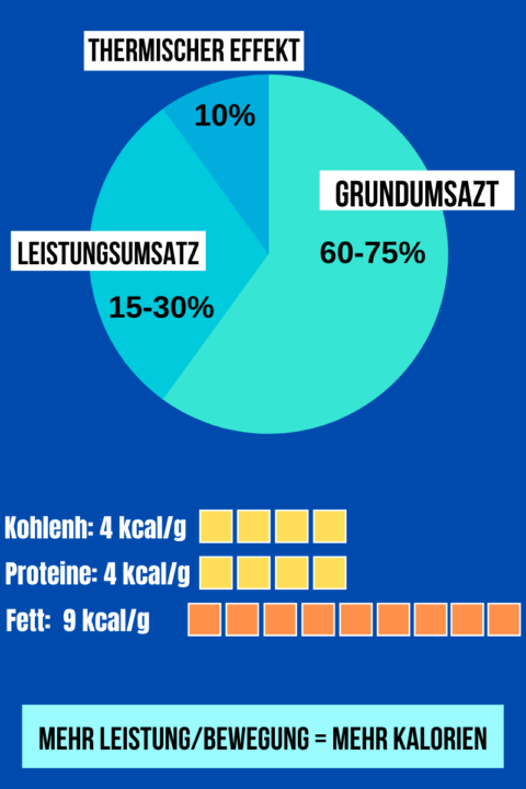 Wie viele Kalorien sollte man am Tag essen? Finde deinen Bedarf